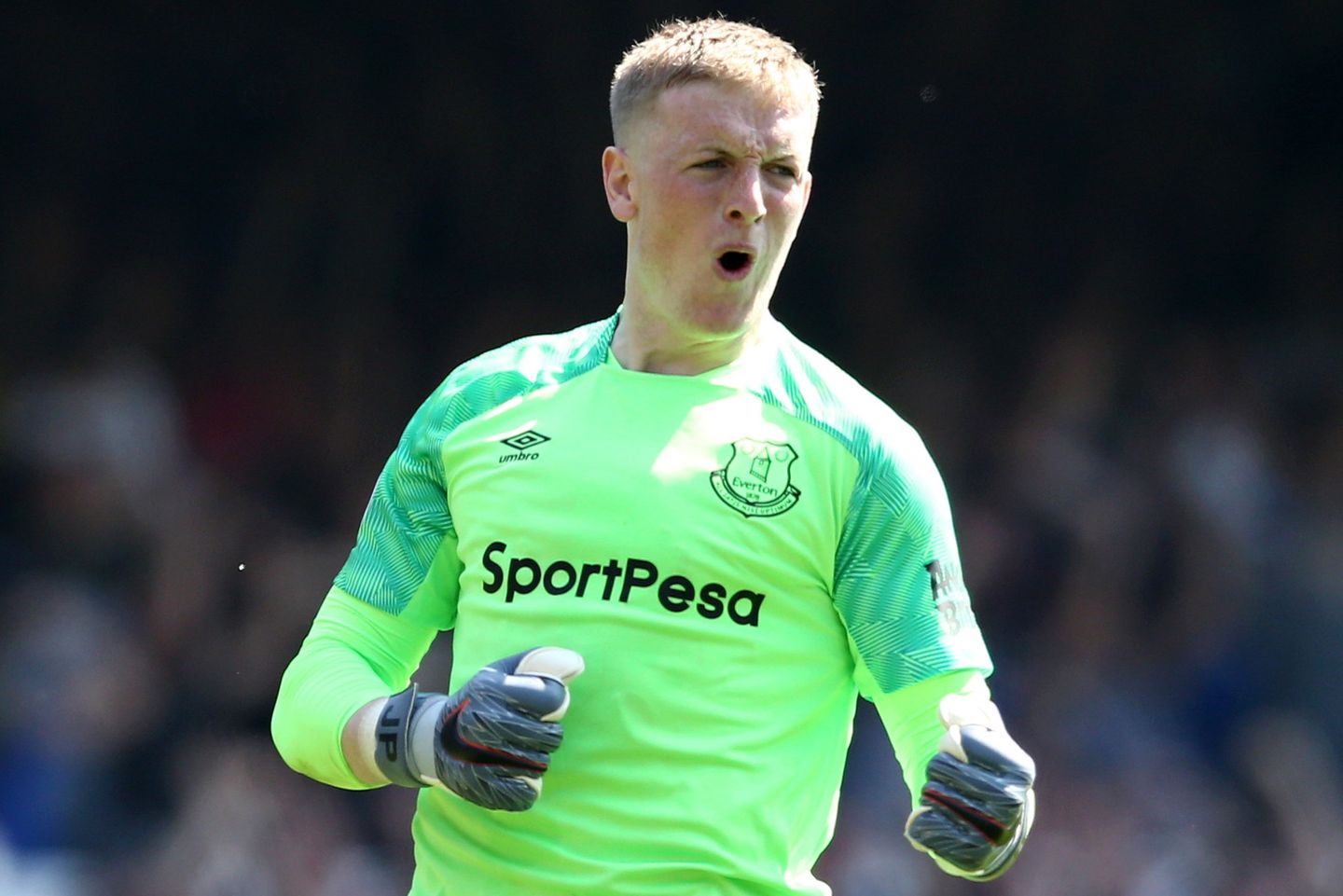 FPL Positions: Everton revival lifts Pickford