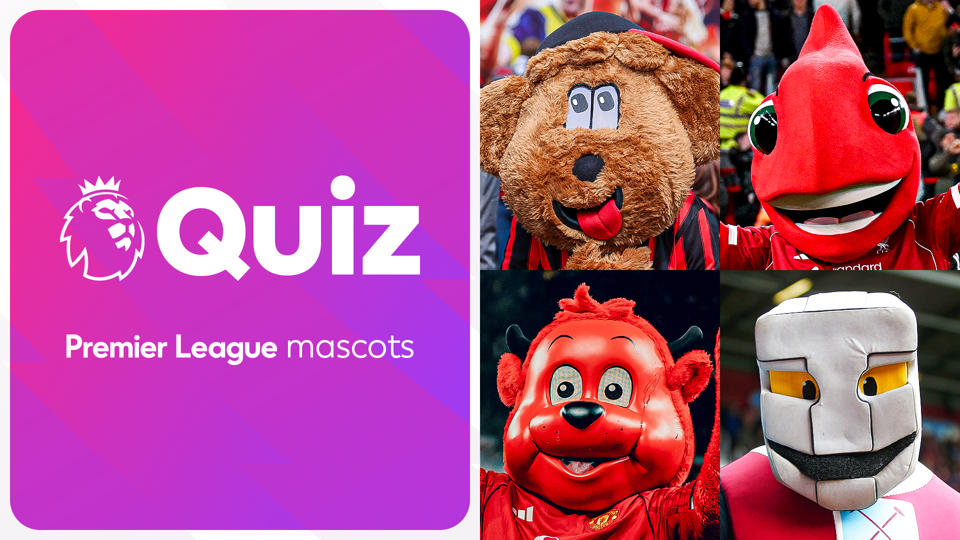 QUIZ: Can you name each Premier League club's mascot?